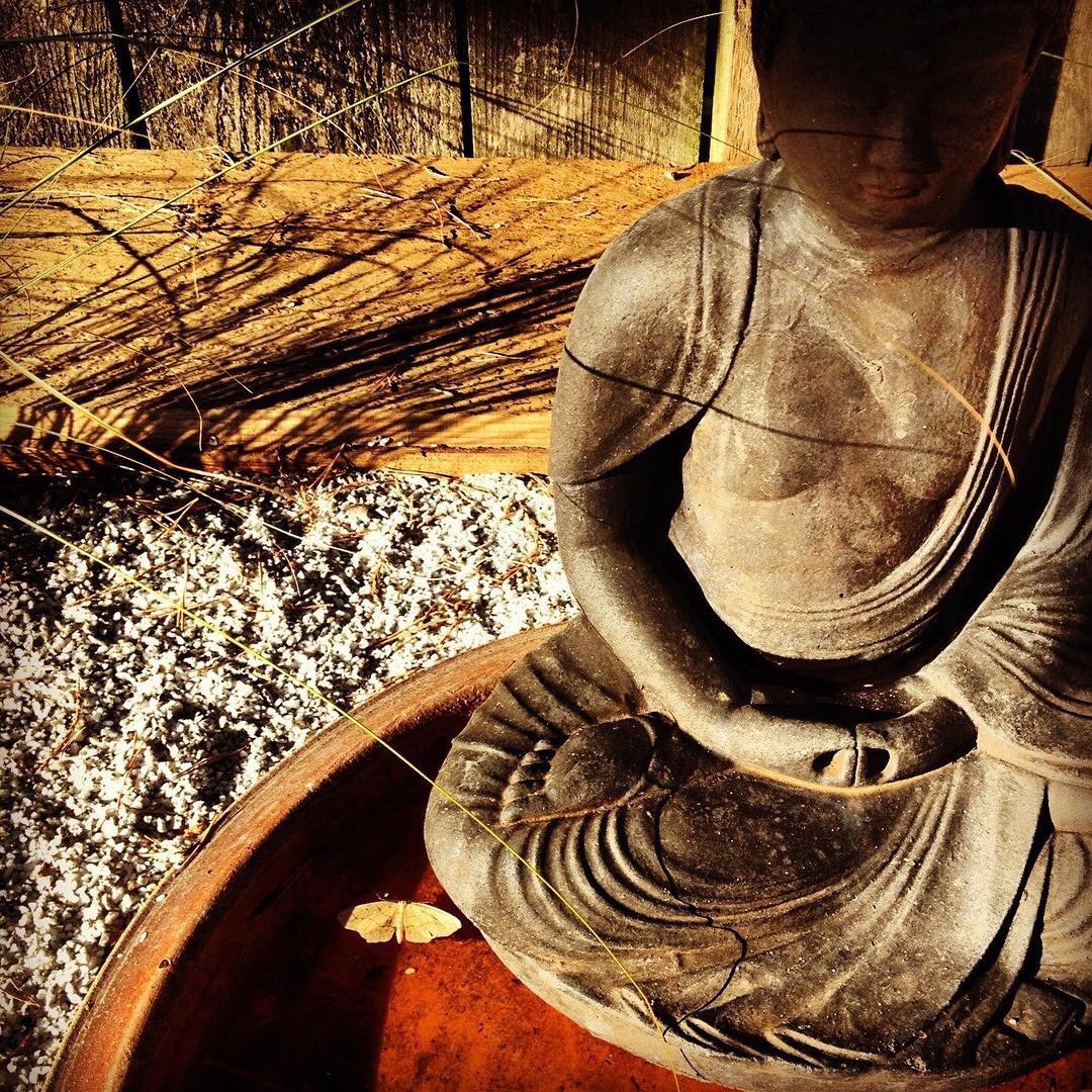 [metta]morphosis thai healing arts, structural bodywork & education